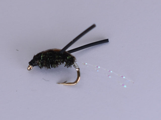 Peacock Backswimmer (12 Pack) | DNA FISHING TACKLE