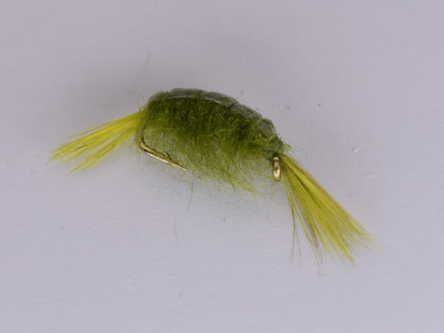 Scud Olive (12 Pack) | DNA FISHING TACKLE